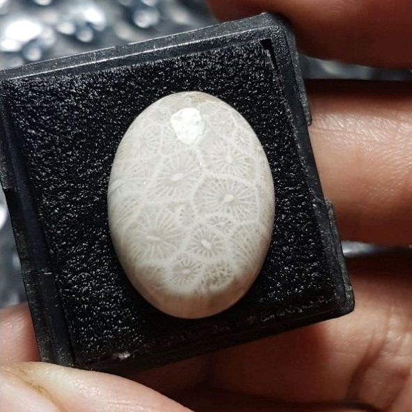 Jual Batu akik teratai putih natural | Shopee Indonesia