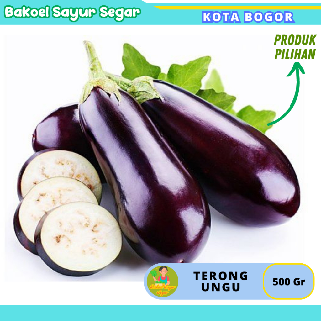 Jual Terong Ungu 500 gr Sayuran Segar Sayuran Fresh Sehat Setiap Hari ...