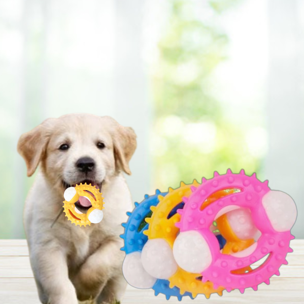 Jual Mainan Gigit Kunyah Bahan Karet Warna Warni untuk Anjing Bentuk ...