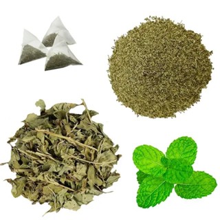 Jual Spearmint tea / Teh daun mint isi 20 teh celup & 30 teh celup | Shopee Indonesia