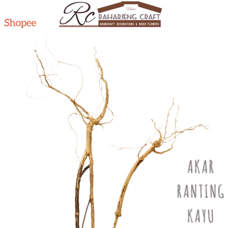 Jual 150// 1 Tangkai akar ranting kayu kering bahan prakarya kerajinan ...