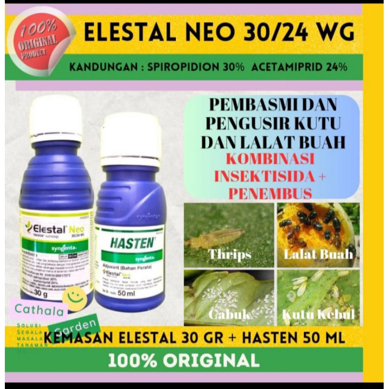 Jual paket insektisida ELESTAL 30/24 WG, 30 gram +perekat HASTEN 50 ml ...