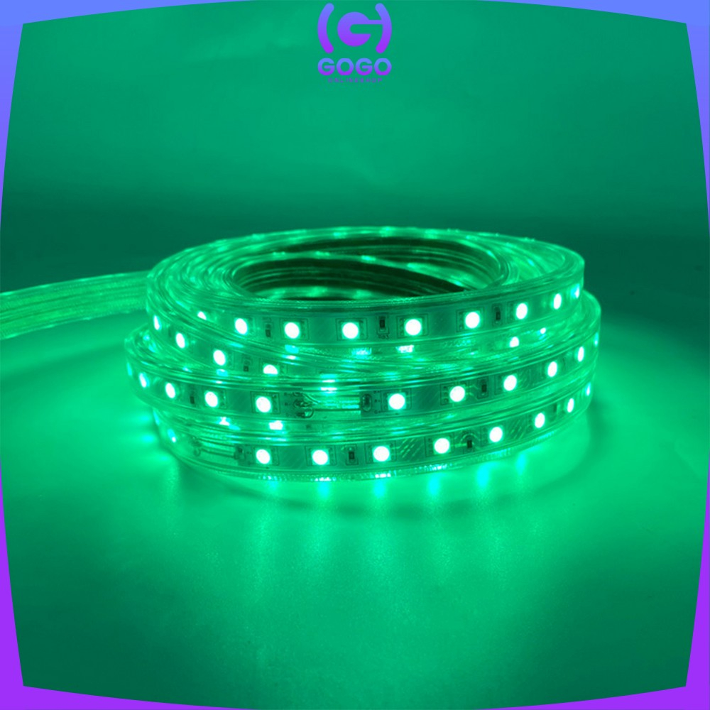 Jual GOGO-C883 Lampu LED Strip Selang 5050 Uk 100Meter 220V Fleksibel ...