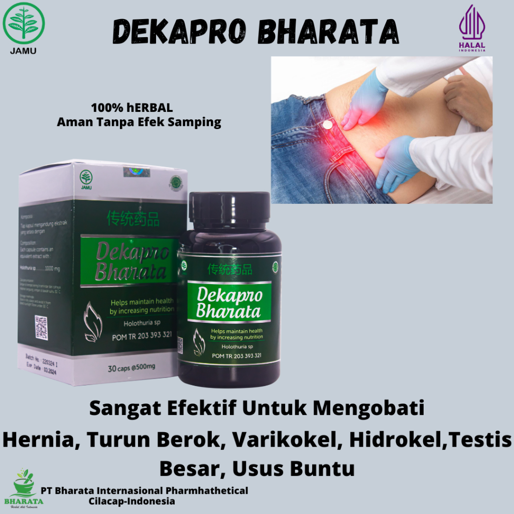 Jual Obat Hernia Ampuh Original - Obat Turun Berok Turun Peranakan ...