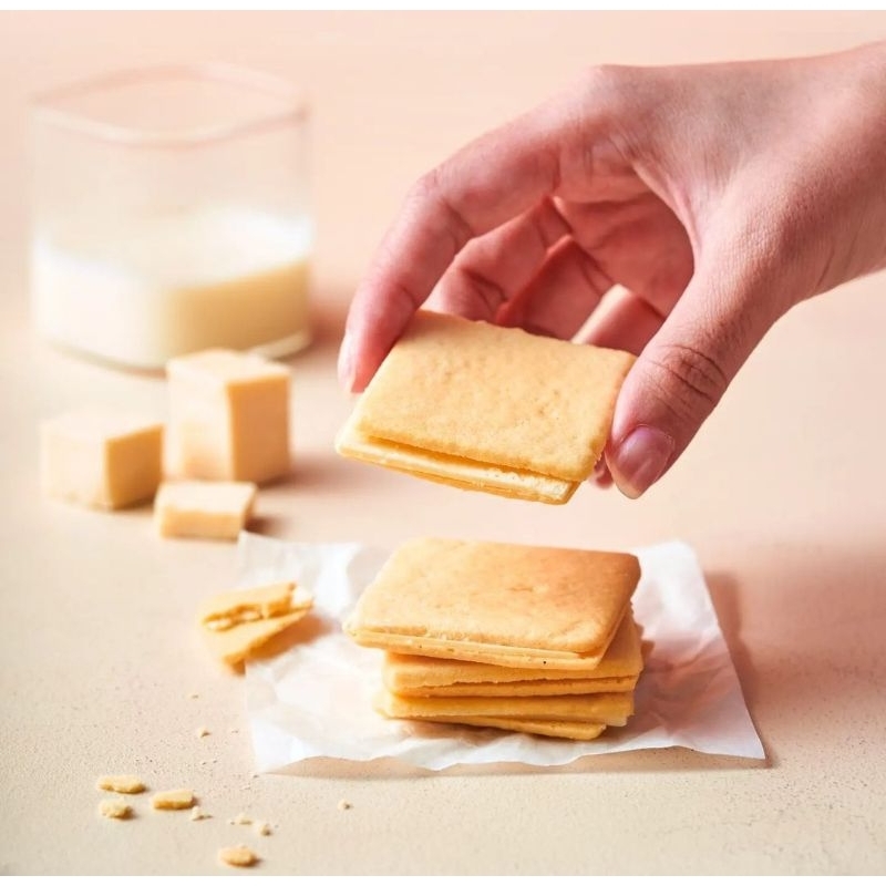 Jual SAYCHIZU MILK CHESSE 10 pcs | Shopee Indonesia