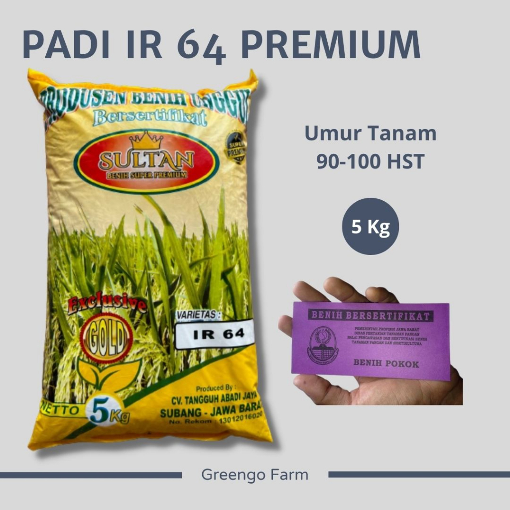 Jual Benih Padi Varietas IR64/ IR 64 Super Jumbo 5Kg | Shopee Indonesia