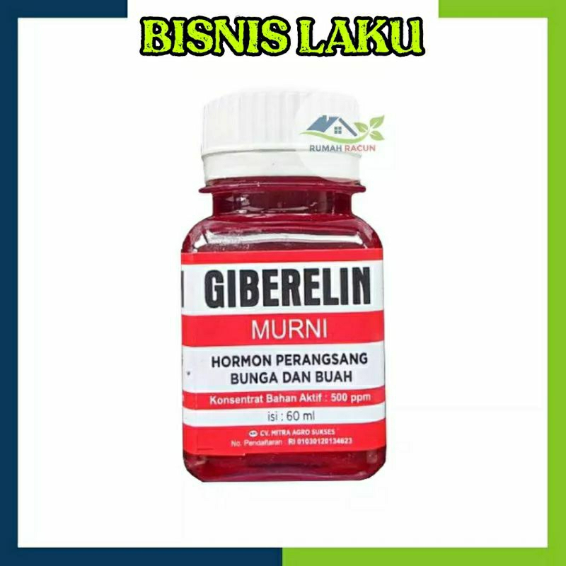 Jual GIBERELIN 60ML PERANGSANG BUNGA DAN BUAH HORMON TANAMAN GIBERELIN ...
