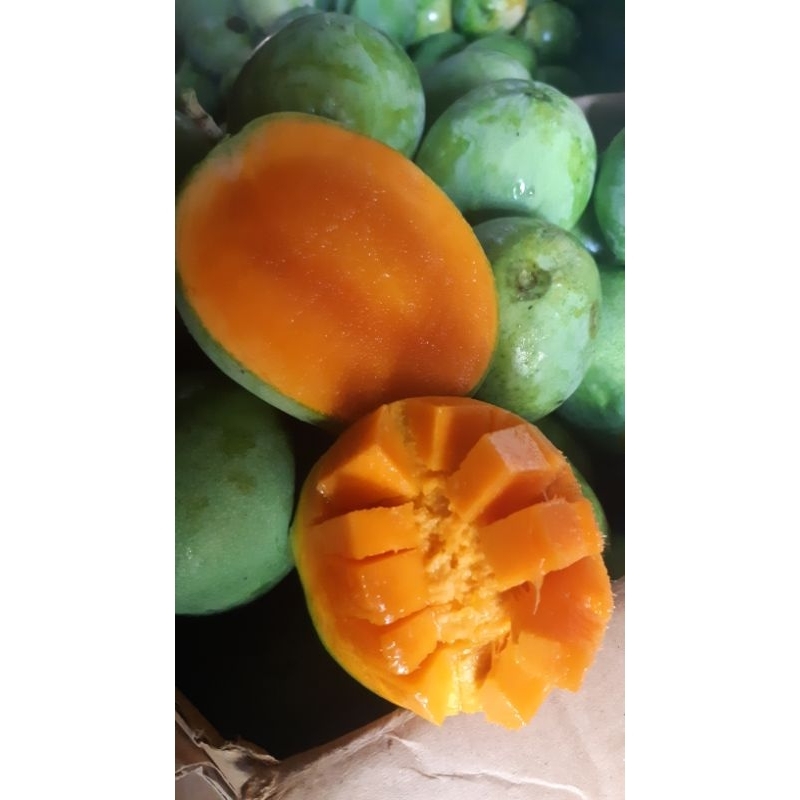 Jual Mangga Sengir Jawa 5 kg (Booking Salsa) | Shopee Indonesia