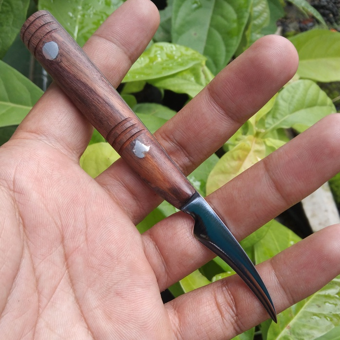 Jual Pisau serut raut jalu ayam aduan berkualitas super tajam | Shopee ...