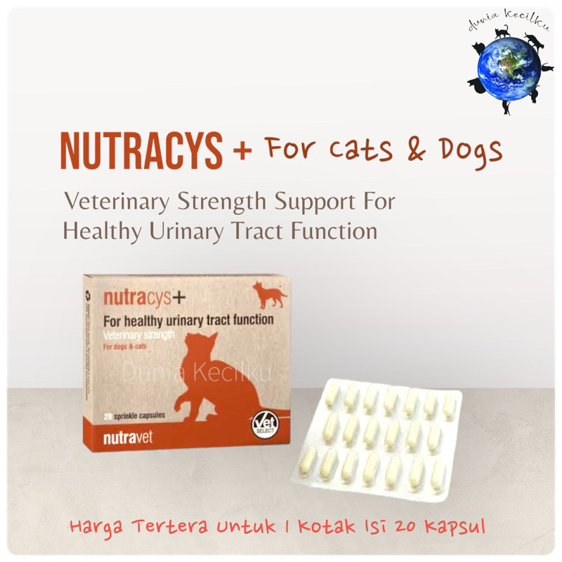 Jual Nutracys Plus Urinary Tract / Masalah Kemih / Susah Kencing ...