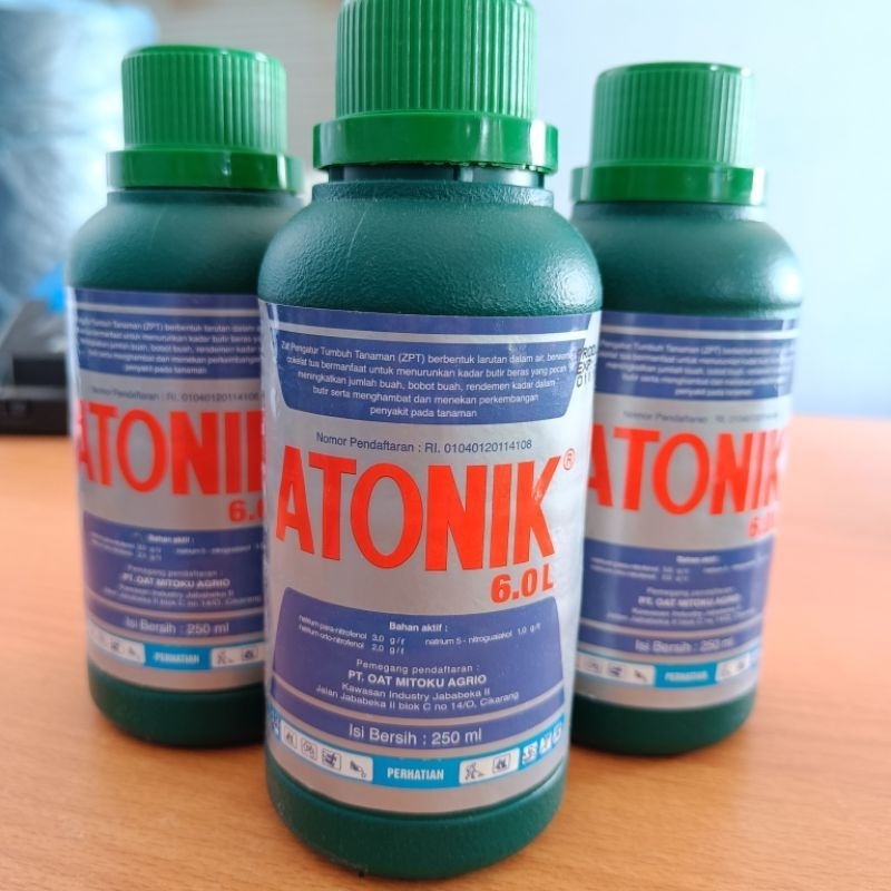 Jual Atonik 250 ml zpt | Shopee Indonesia