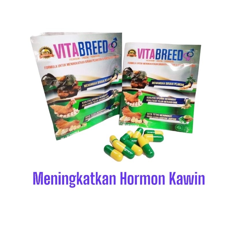 Jual VITABREED, Vitamin Untuk Meningkatkan Birahi Ayam Pejantan ...