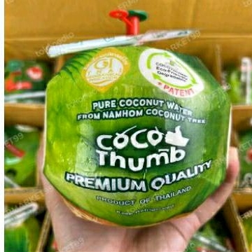 Jual Kelapa Coco thumb Thailand Premium Praktis siap minum | Pcs ...