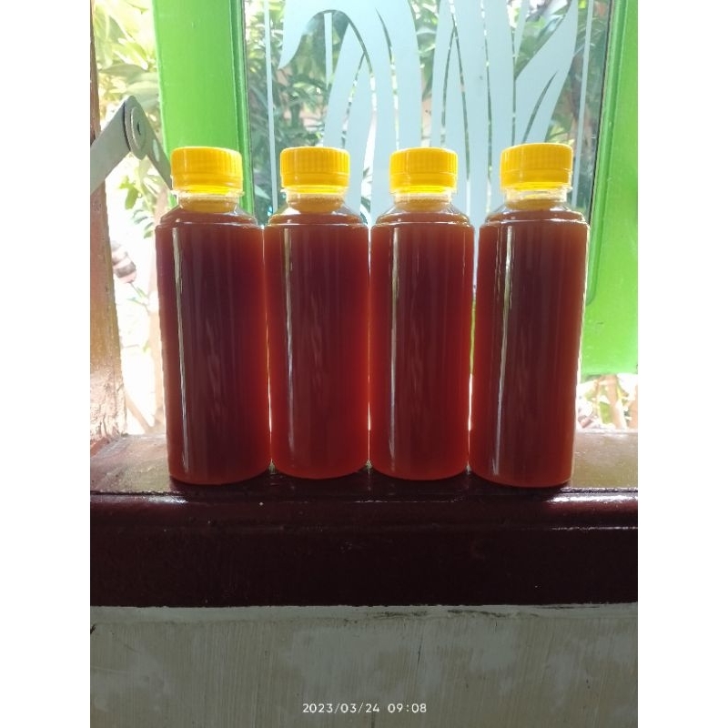 Jual madu klanceng/terminata/kelulut/trigona/kele kele/galo galo ...