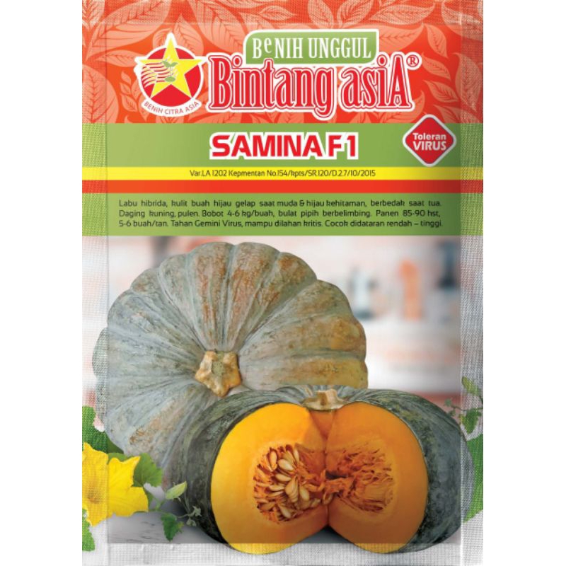 Jual Bibit - Benih Labu hibrida tahan virus daging kuning pulen Samina ...