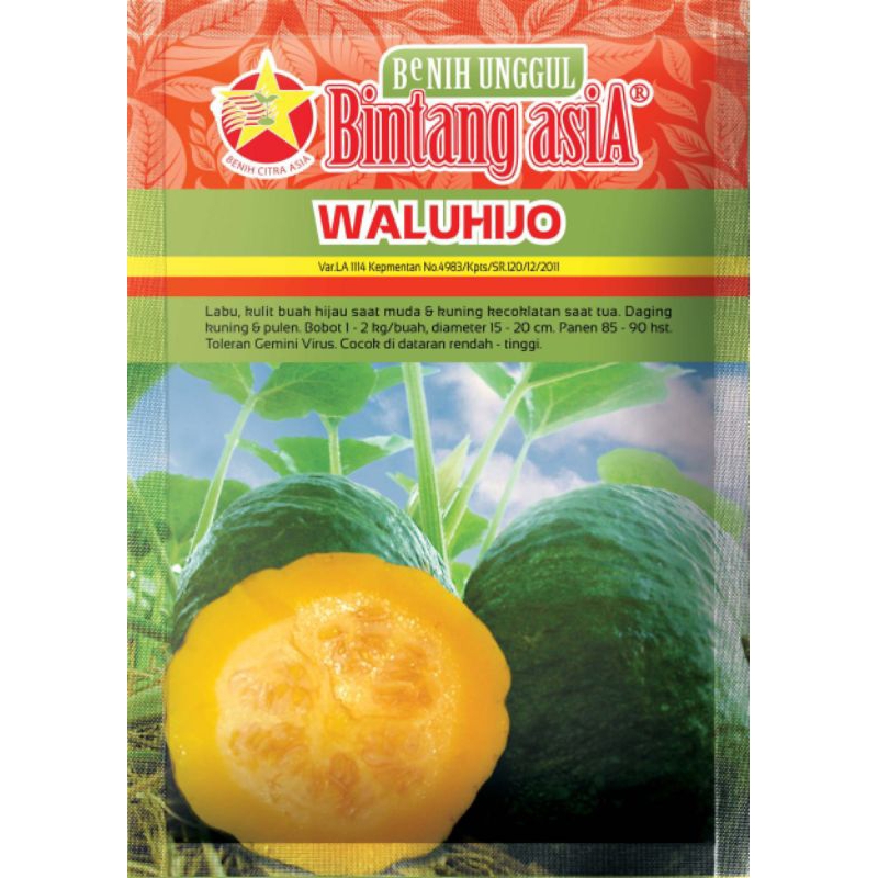Jual Bibit - Benih Labu kulit hijau daging kuning dan panen Waluhijo ...