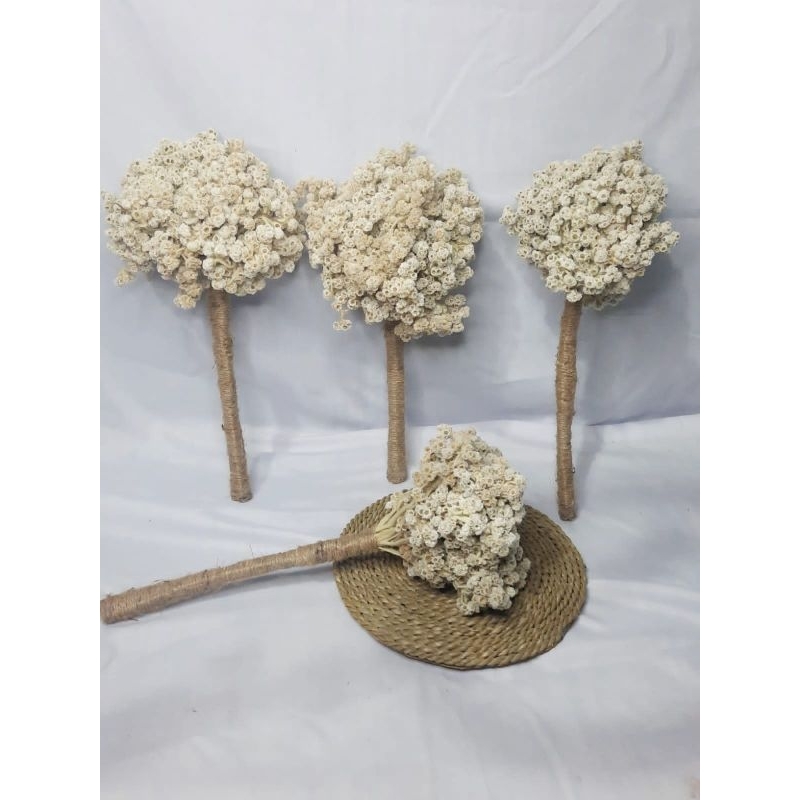 Jual bunga abadi /edelwis mumer,bahan buket lilit tali rami hasil ...