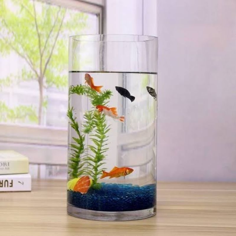 Jual Aquarium Cupang Aquarium Ikan Hias Aquarium Kaca Tabung Aquascape ...