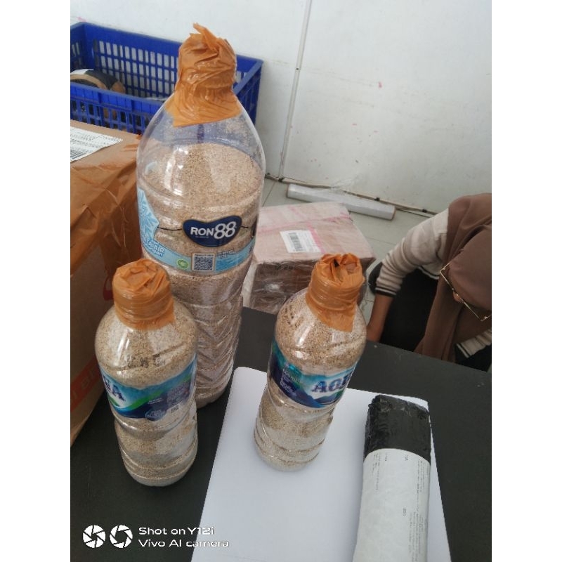 Jual sempel pasir | Shopee Indonesia
