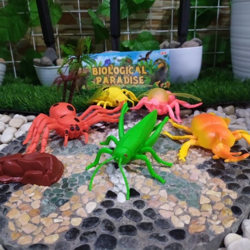 Jual mainan hewan serangga anak - kebun binatang hewan serangga anak ...