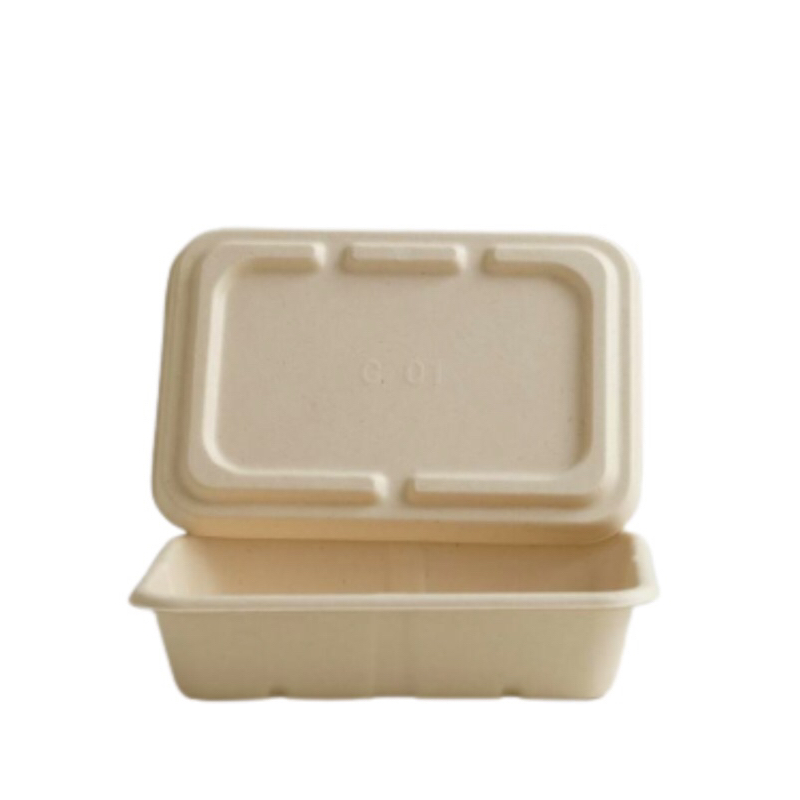 Jual Safeco Bagasse Lunch Box Dus Catering Bento Kotak Kemasan Tempat Makan Katering Packaging ...
