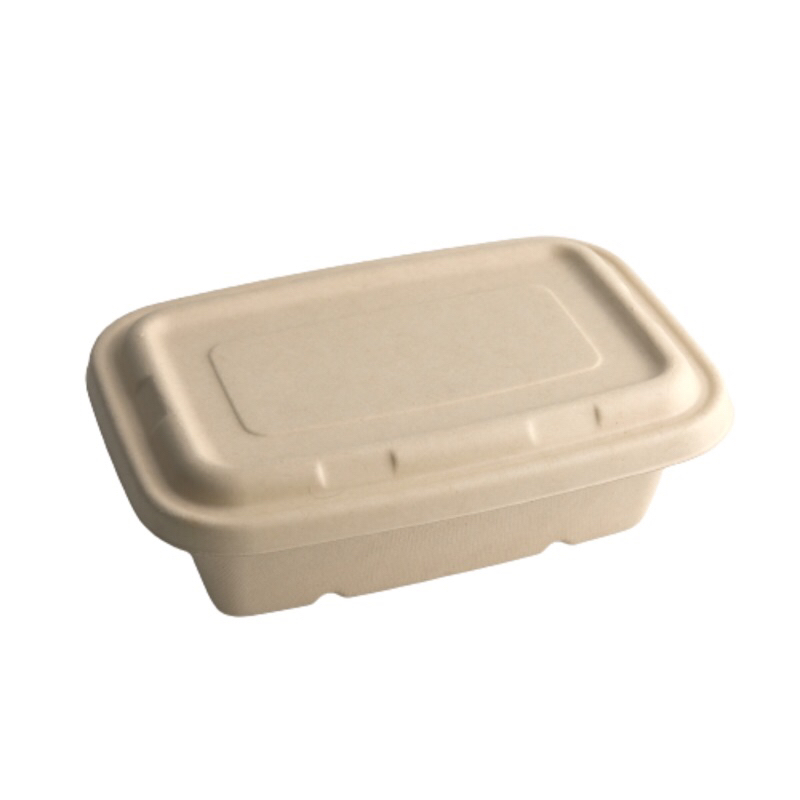 Jual Safeco Bagasse Lunch Box Dus Catering Bento Kotak Kemasan Tempat Makan Katering Packaging ...