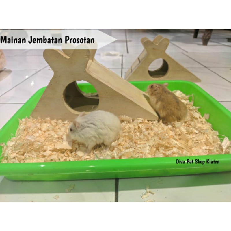 Jual Mainan Hamster Marmut Burung Jembatan Prosotan Dari Bahan Kayu ...