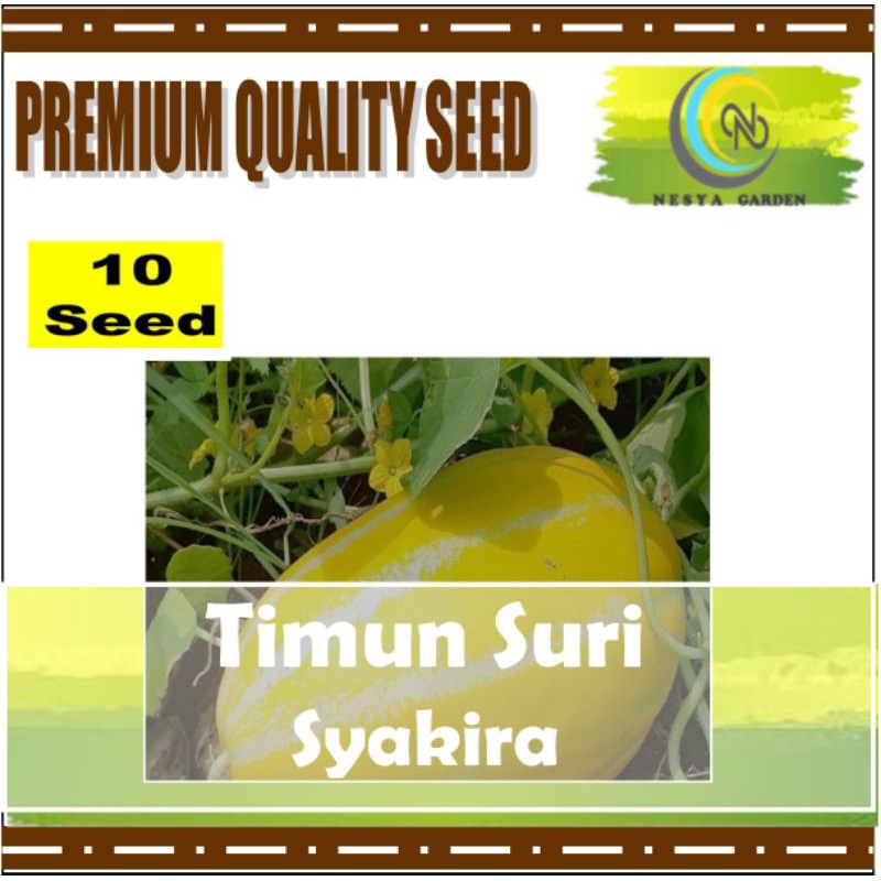 Jual 10 Benih Timun Suri Benih Timun Suri | Shopee Indonesia