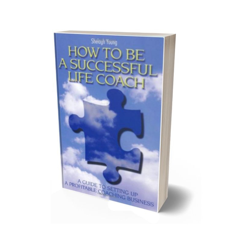 Jual How to Be a Successful Life Coach: A Guide to Setting Up a ...