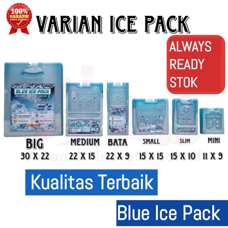 Jual ICE PACK PENGGANTI DRY ICE GEL BLUE ICE PACK GEL PACK BERKUALITAS ...