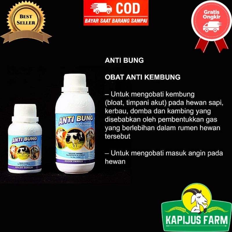 Jual AntiBung/ Anti Bung (Obat Kembung Sapi Kambing Domba Ampuh ...