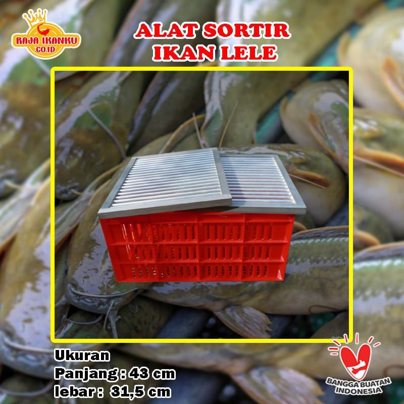 Jual Alat Sortir Lele Alat Sortir Ikan Lele / Seritan Ikan Lele ...