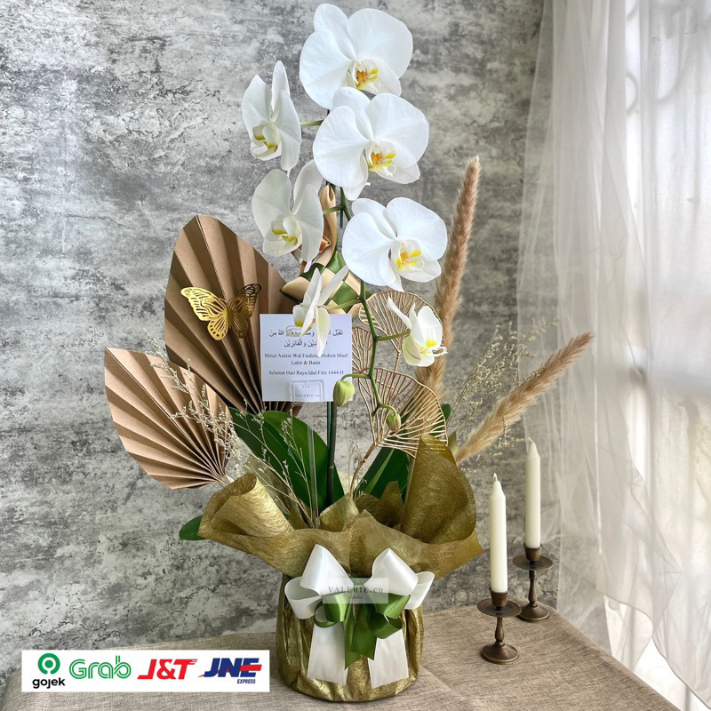 Jual BUNGA ANGGREK BULAN ANGGREK POT HIDUP RANGKAIAN BUKET BUNGA ...