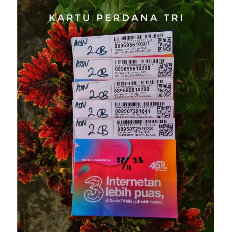 Jual KARTU PERDANA TRI 2GB Exp Panjang | Shopee Indonesia