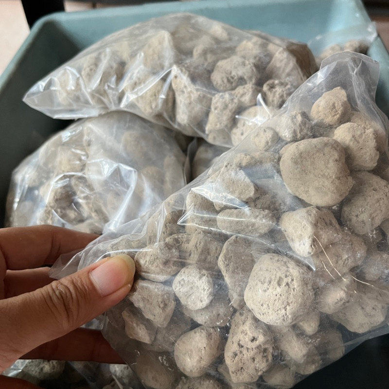 Jual Batu Apung Pumice Media Filter air aquarium 300gram & 1kg | Shopee ...