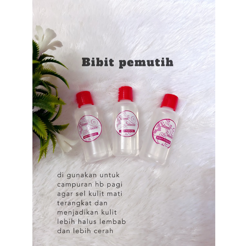 Jual 1 PAKET BOTOL BIBIT PEMUTIH ( isi 2 ) | Shopee Indonesia