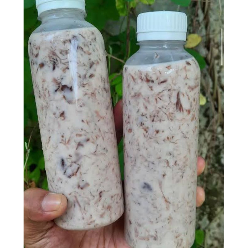 Jual ES JELLY LUMUT RASA COKLAT | Shopee Indonesia