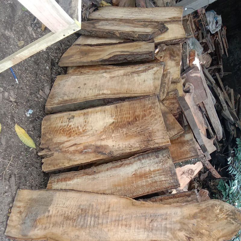 Jual kayu mangga hutan | Shopee Indonesia