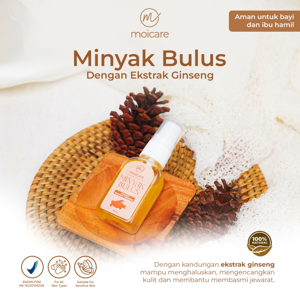 Jual Bulus Oil Minyak Bulus Murni Plus Extract Ginseng Pembesar ...