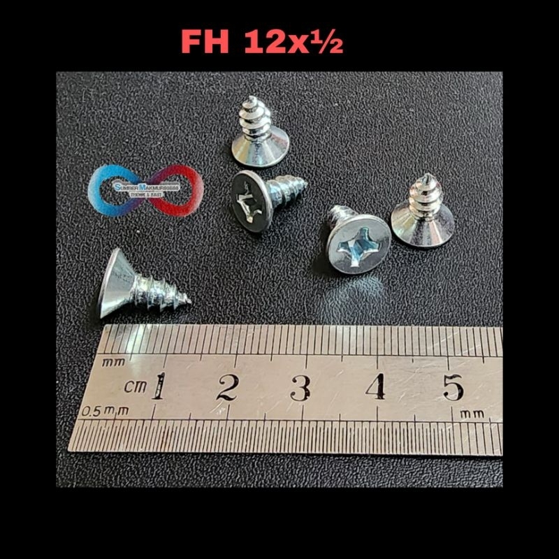 Jual skrup tapping screws (FH) 12x1/2 inch per 100pcs | Shopee Indonesia