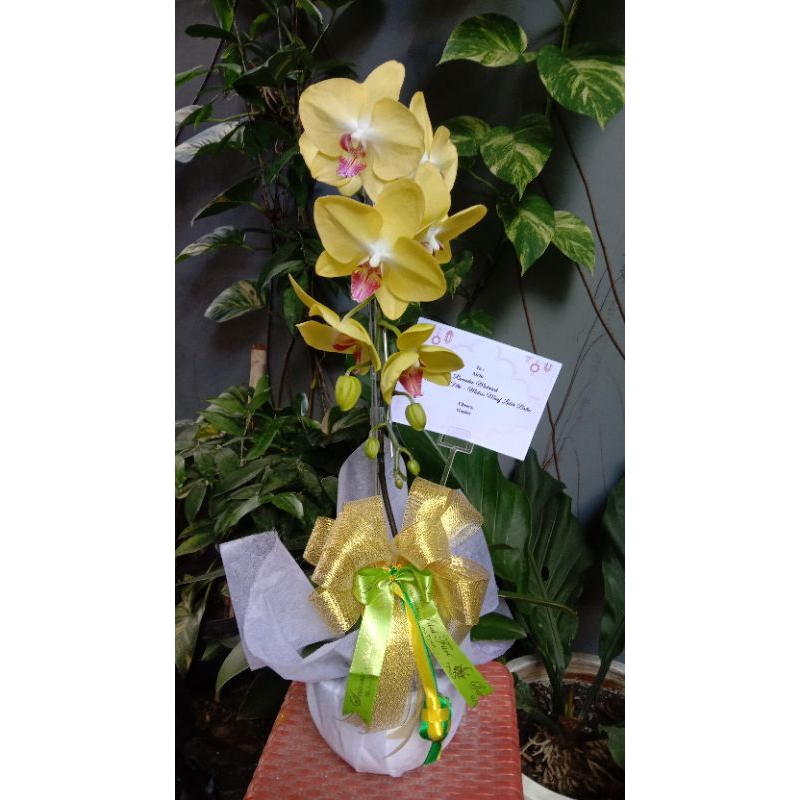 Jual Rangkaian Anggrek cantik hadiah ulang, tahun , hampers lebaran ...