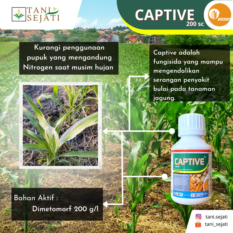 Jual Captive 200 SC | Fungisida | Anti Bulai | Penghangat Tanaman ...