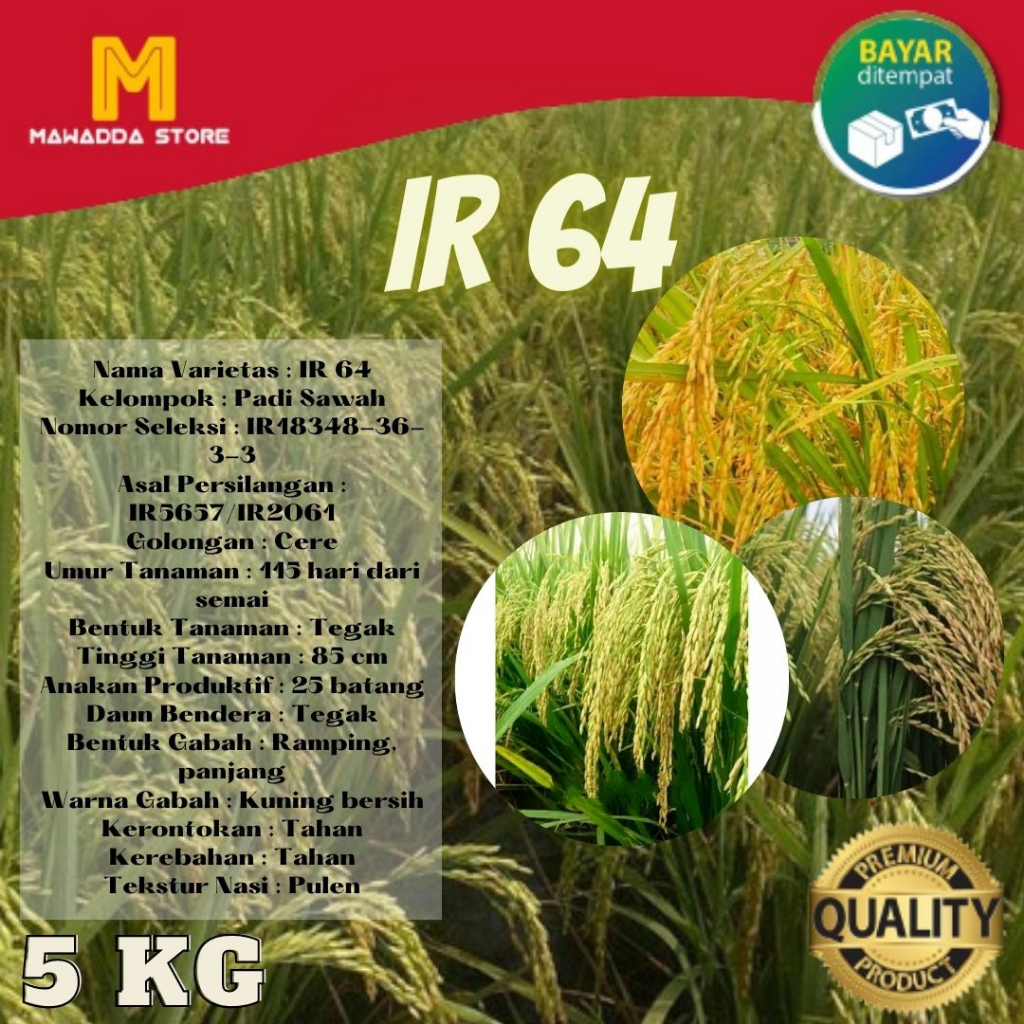 Jual Biji Padi IR64 kemasan 5kg | Shopee Indonesia