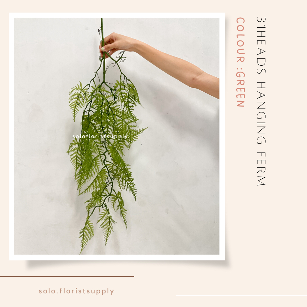 Jual 31HEAD HANGING FERN HANGING EUCALYPTUS GRASS DAUN JUNTAI Juntai ...