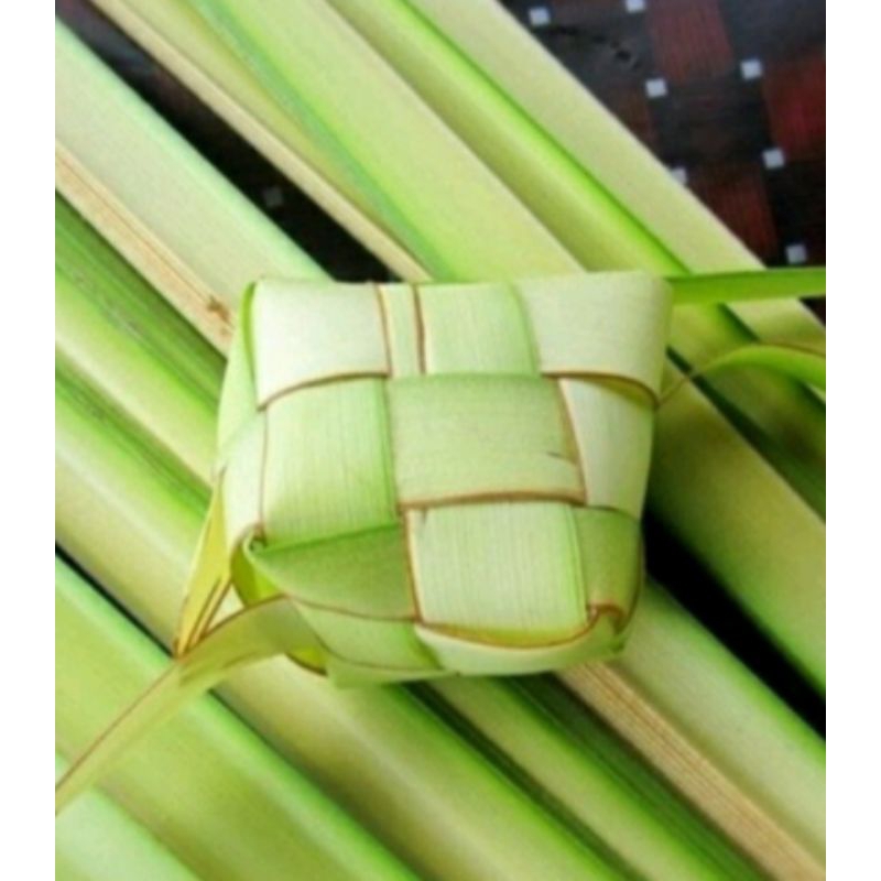 Jual daun kelapa muda/ janur /janur kuning untuk ketupat per 15 pcs ...