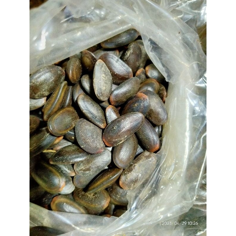 Jual Biji Kedawung - Kedaung 100 gr | Shopee Indonesia