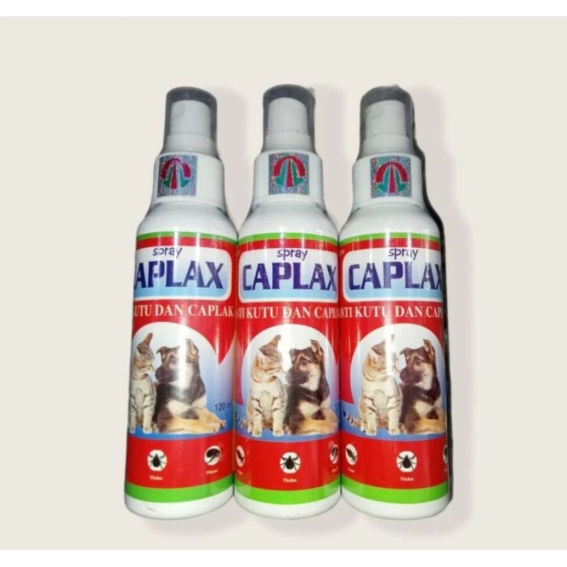 Jual Caplak 120ml | Shopee Indonesia