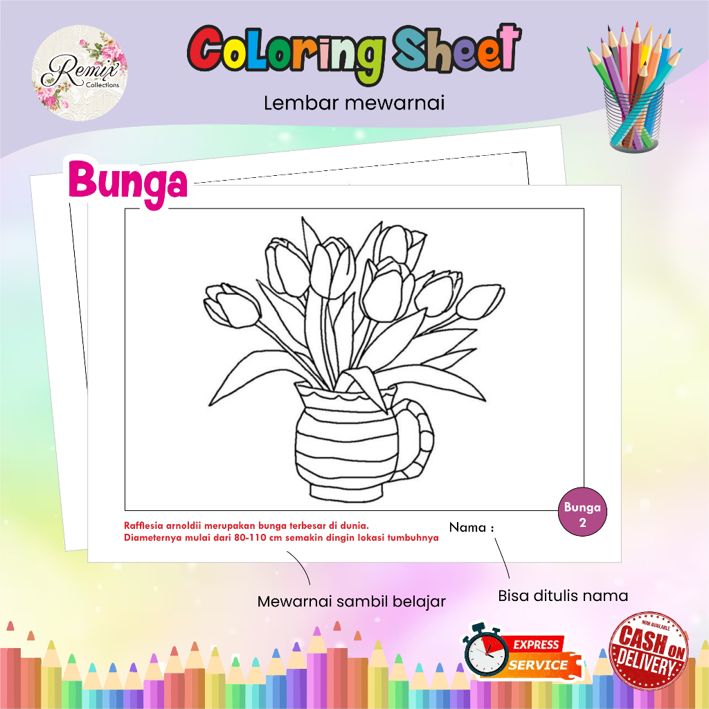 Jual Kertas Mewarnai tema BUNGA / Kertas Gambar / Kertas Warna Anak TK ...