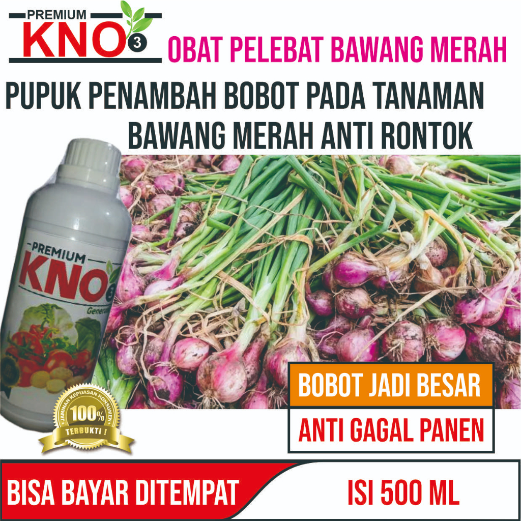 Jual Promo Obat Bawang Merah Golek Pupuk Premium Kno3 Obat Pelebat bawang Merah Paling Ampuh Dan ...