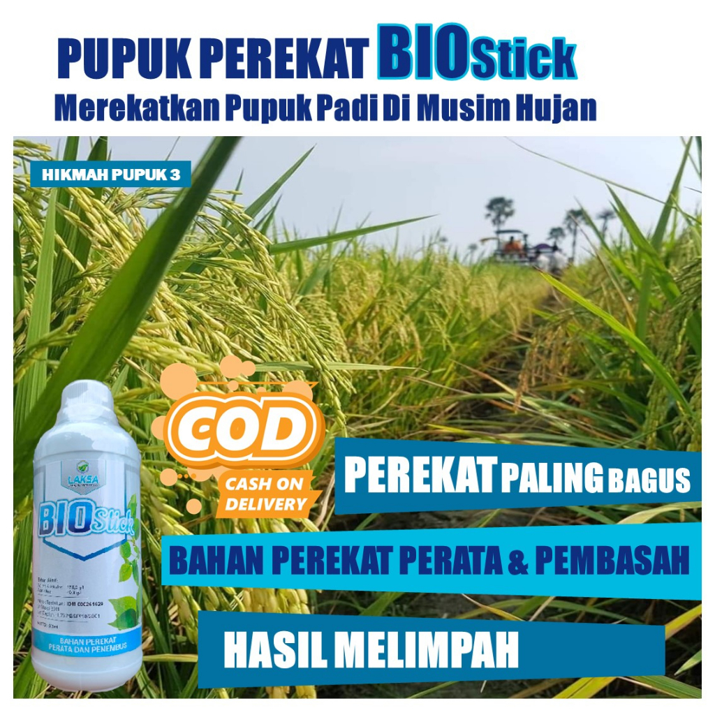 Jual Pupuk Perekat Buah dan daun BIO STICK untuk Tanaman Padi Paling ...